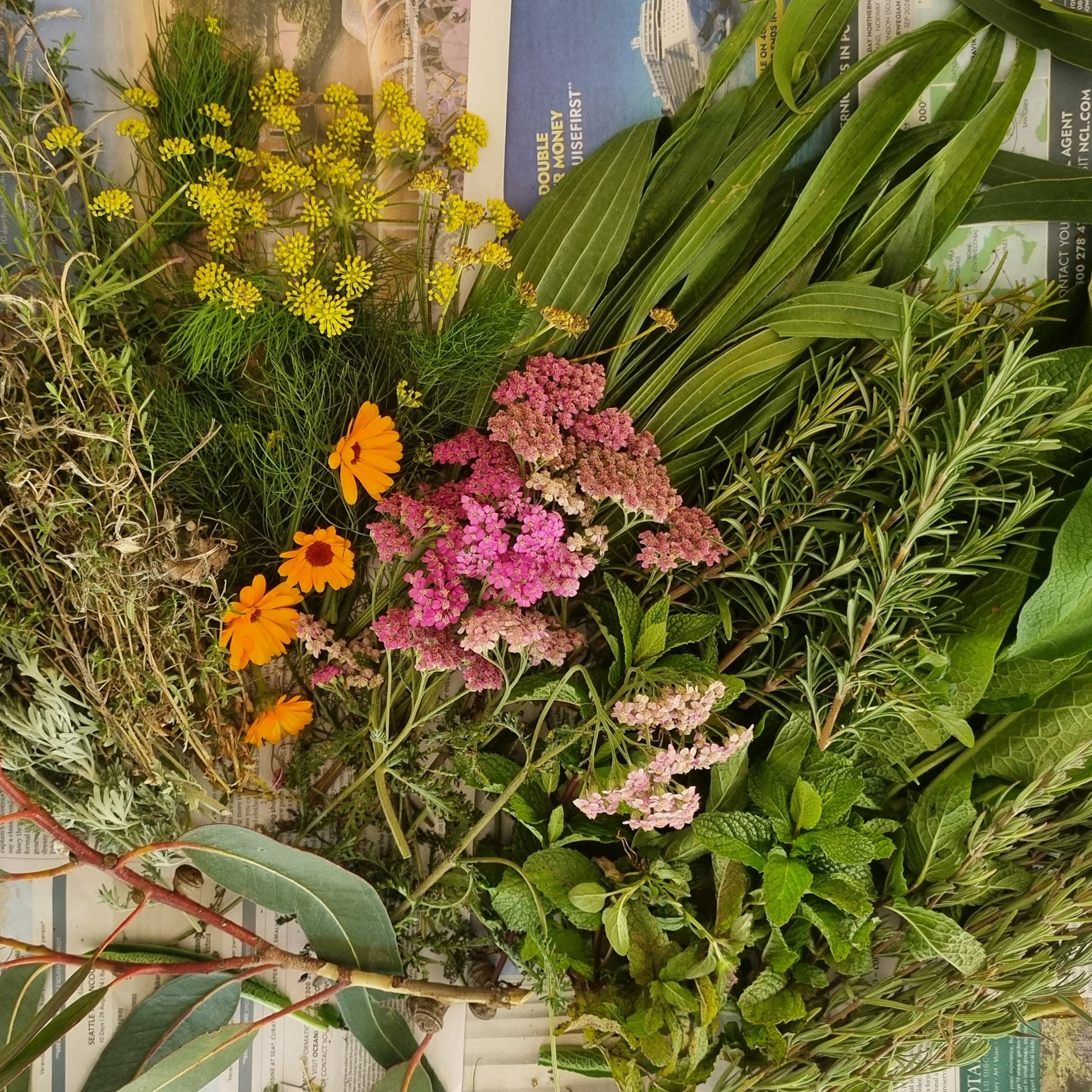 Bee Curious... – Bee Wild Nature's Salves